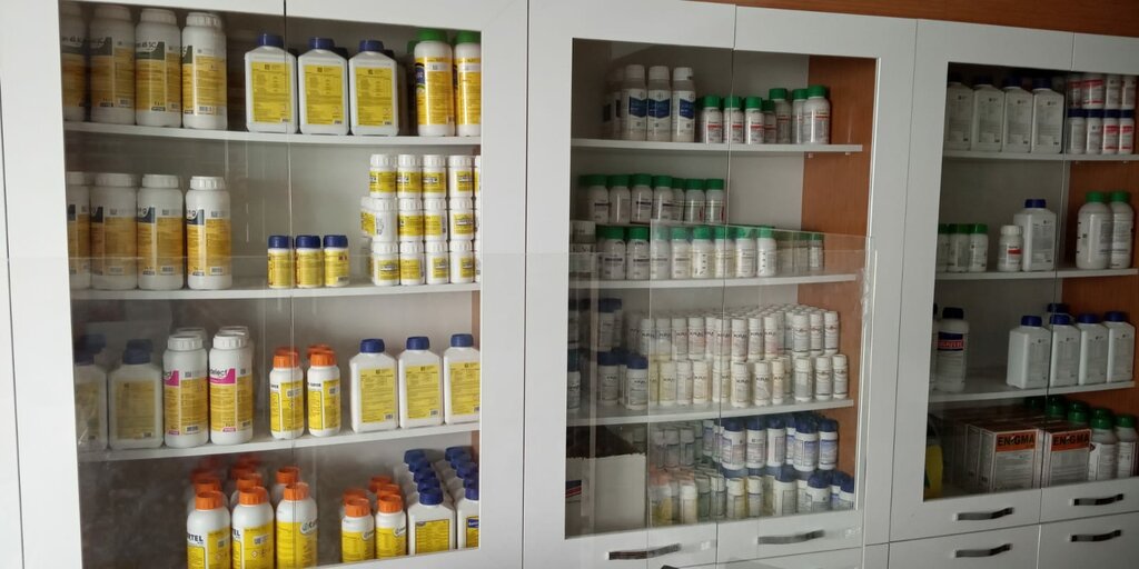 Veteriner klinikleri Yaprak Veteriner Kliniği, Kayseri, foto