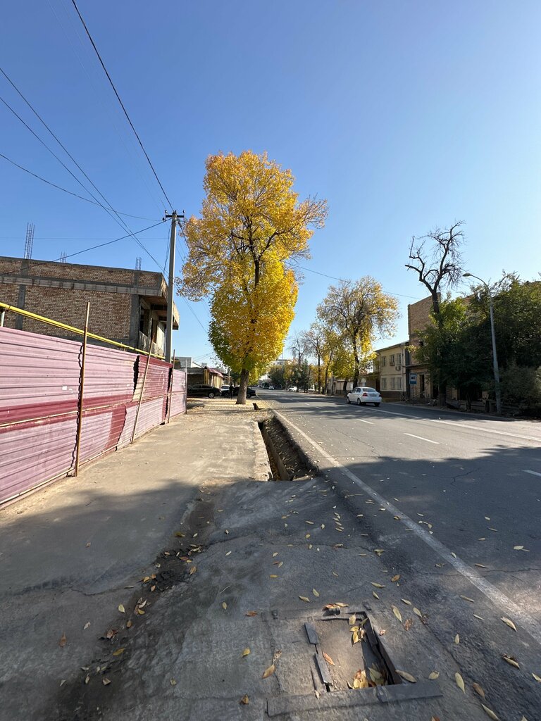 Spor kulüpleri Taekwondo W. T, Taşkent, foto
