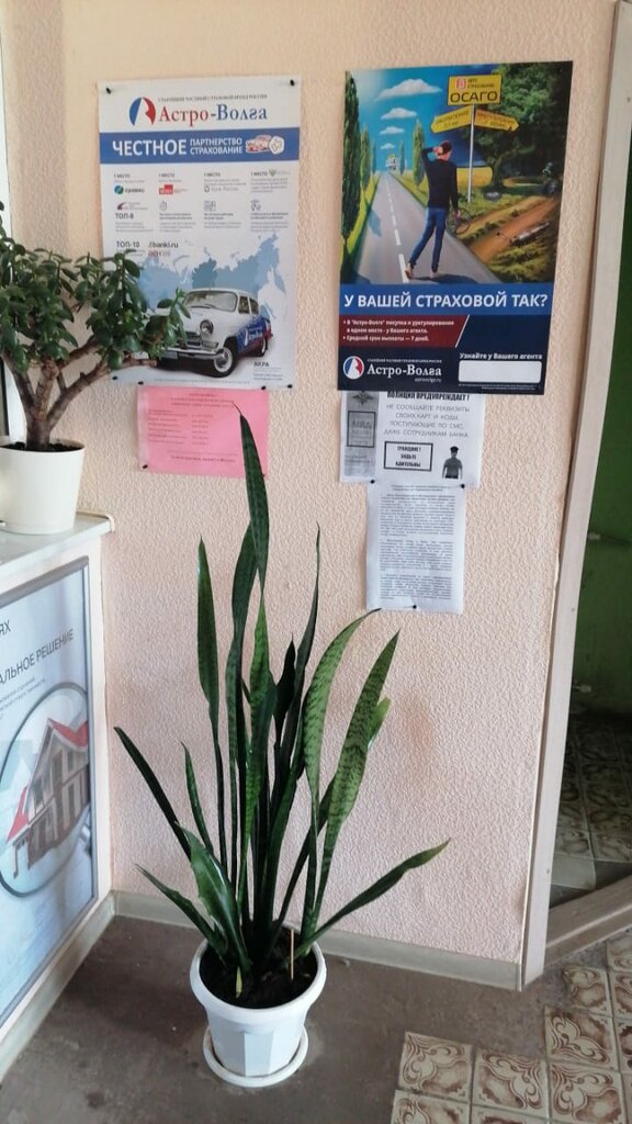 Sigorta şirketleri Астро-Волга, Sebezh, foto