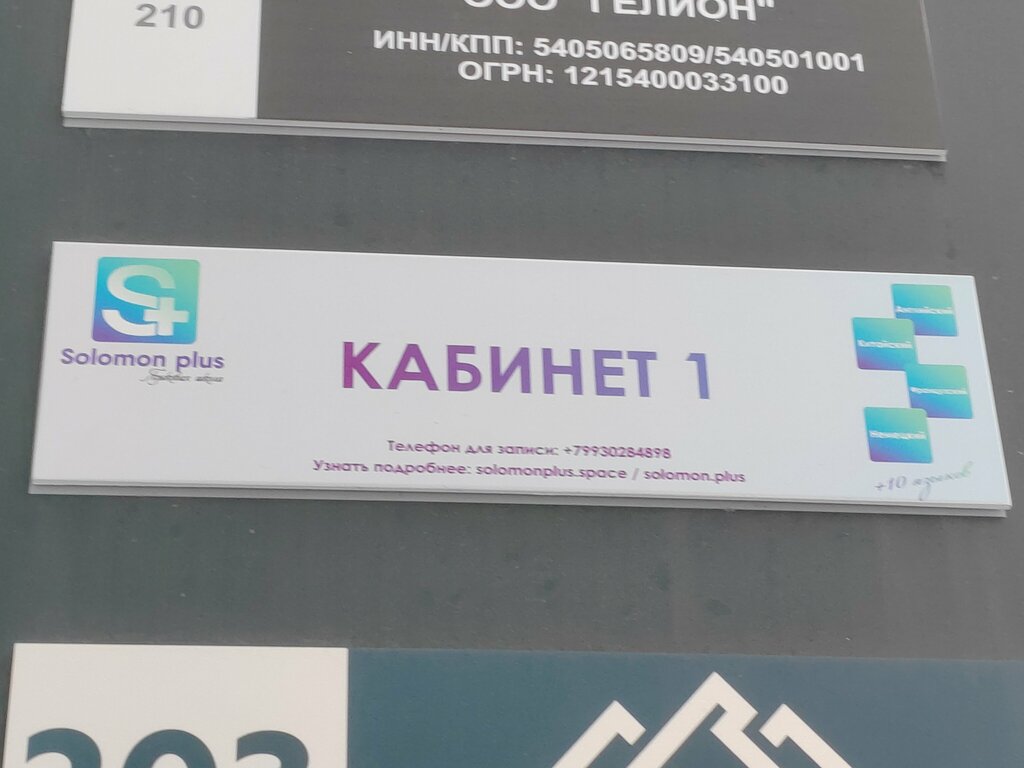 Yabancı dil kursları Solomon Plus, Novosibirsk, foto