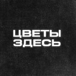 Цветы Здесь (Lenina Avenue No:29), çiçekçiler  Tula'dan