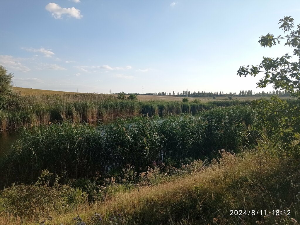 Balık çiftçiliği ve toptancıları Рыбное хозяйство, Kırım Cumhuriyeti, foto