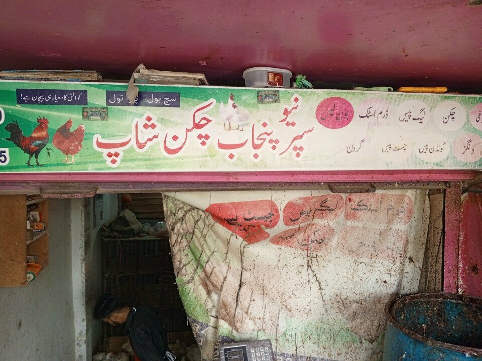 Kanatlı hayvan ürünleri ve yumurta New super Punjab chicken shop, Rawalpindi, foto