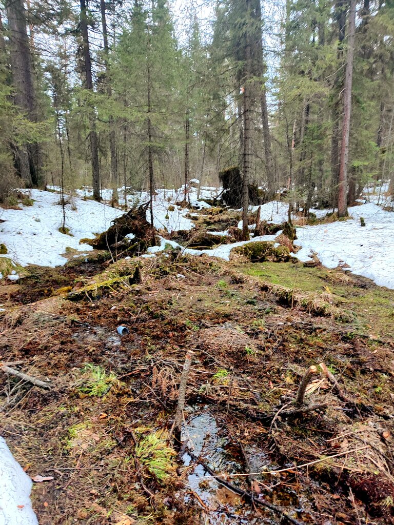 Pınar, çay Spring, stream, Krasnoyarski krayı, foto
