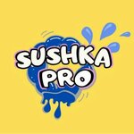 SushkaPro (Fadeeva Street No:1А), kiralama noktası  Vladivostok'tan