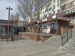 Elvi Flowers (Bógenbaı batyr dańǵyly No:53), çiçekçiler  Astana'dan