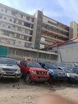 Tap Air Portugal (Luanda Province, Municipality of Luanda, Bungo), havacılık şirketleri  Loanda'dan