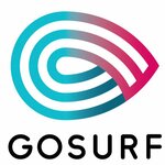 Gosurf (Nizhny Susalny Lane No:5с19), fitness ve spor ekipmanı firmaları  Moskova'dan