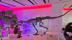 Real Monsters (Peterburgskaya Street No:1), müzeler ve sanat galerileri  Kazan'dan