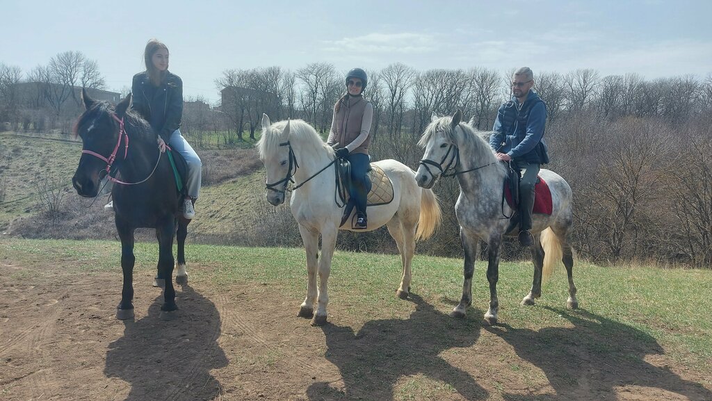 At ve binicilik kulüpleri Конный клуб Кентавр, Rostov‑na‑Donu, foto