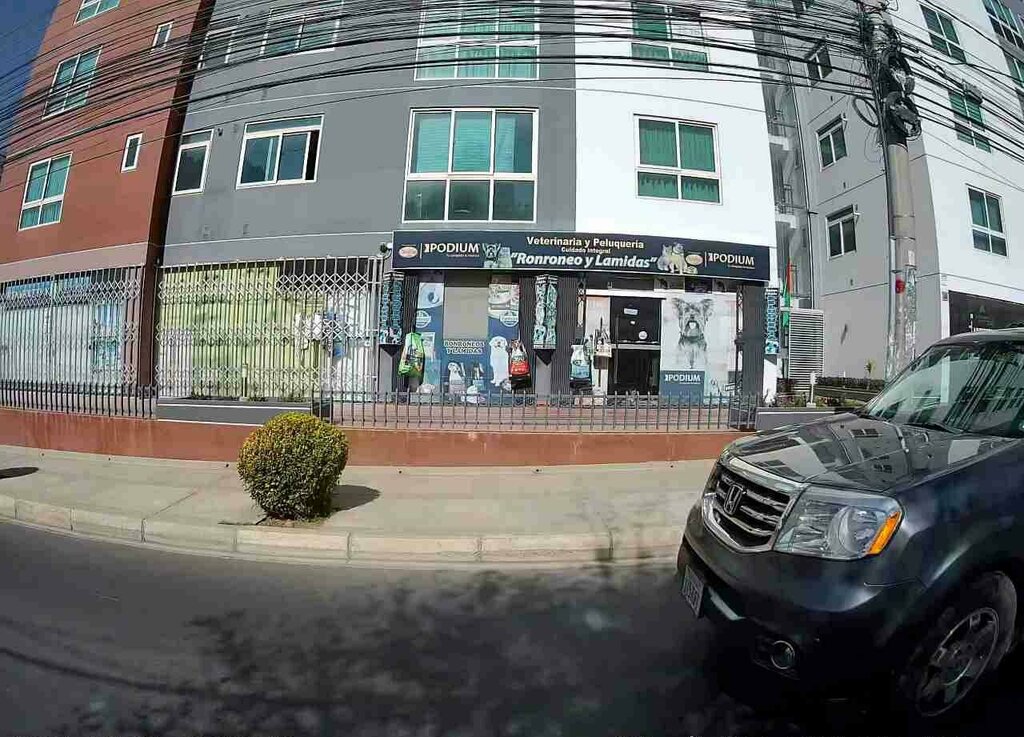Veteriner klinikleri Veterinary Purrs & Licks, La Paz, foto