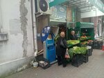 Paybox (Alexander Pushkin Street No:33), atm'ler  Batum'dan