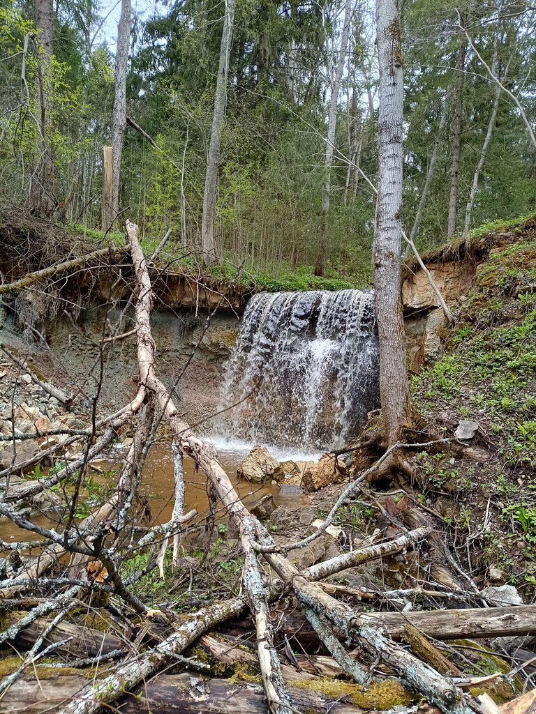 Şelale Waterfall, Novgorodskaya oblastı, foto