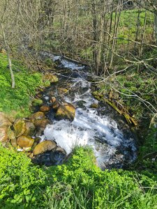 Пешеходный экологический маршрут Долина родников (Leningrad Region, Lomonosovskiy District, Ropshinskoye selskoye poseleniye, derevnya Bolshiye Gorki), turistik yerler  Saint‑Petersburg ve Leningradskaya oblastından