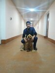 Ветеринария (Bunyodkorlar koʻchasi No:37), veteriner klinikleri  Kokand'dan