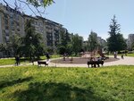 Miticeva Rupa (gradska opština Vračar, Park Dušana Jovanovića), oyun odası  Belgrad'dan