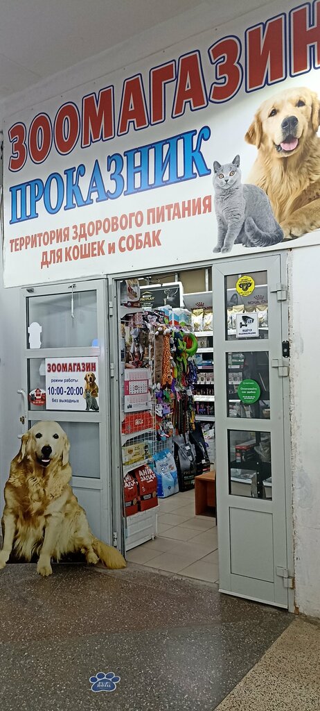 Petshop Проказник, Novosibirsk, foto