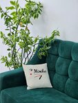 Мимика (Yesenina Street No:9к2), kozmetoloji, kozmetik salonları  Belgorod'dan