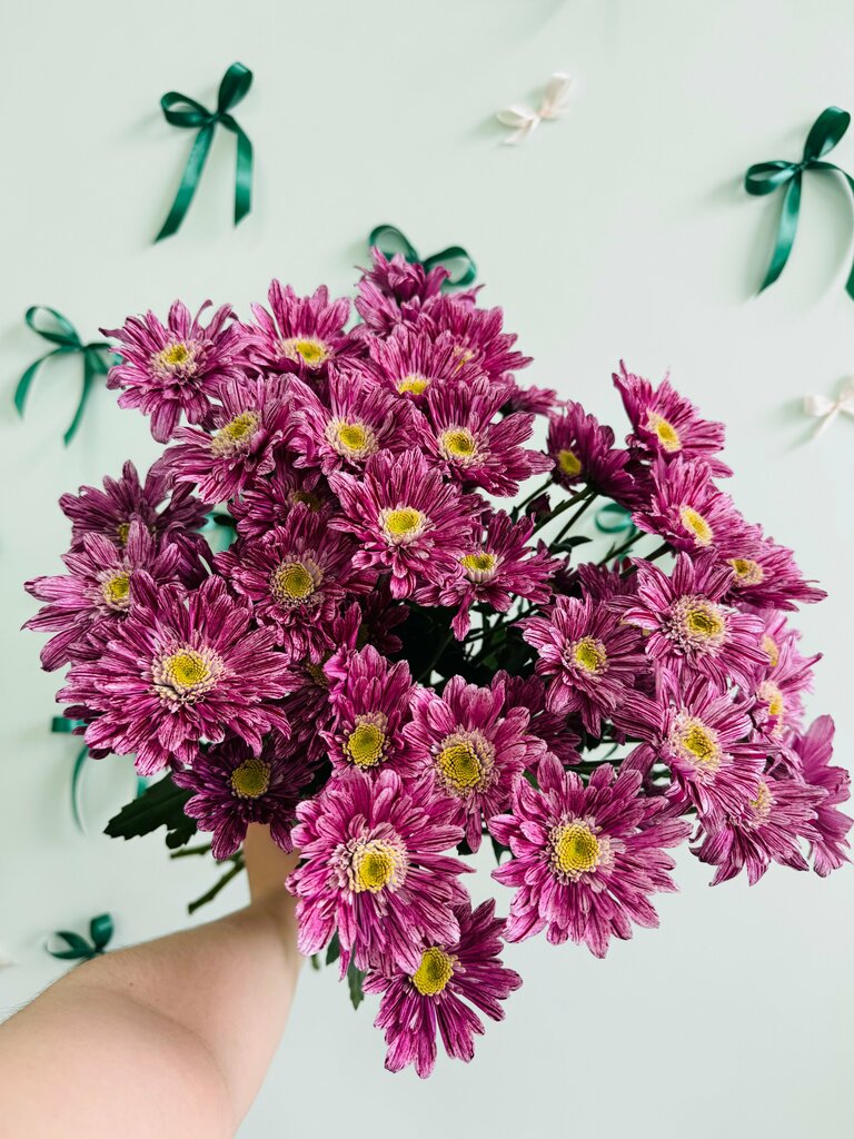 Çiçekçiler Flor DiMar, Klin, foto