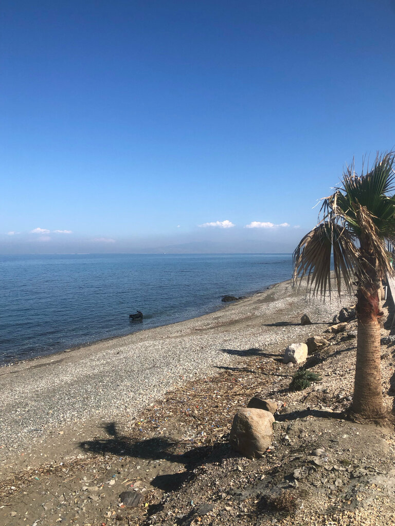 Kafe Sahil Cafe, Urla, foto