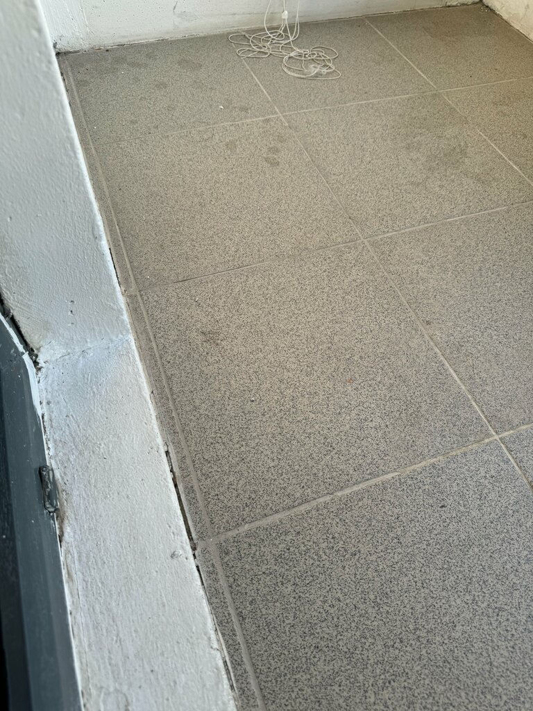 Kısa süreli konaklama Bitza Park, Moskova ve Moskovskaya oblastı, foto