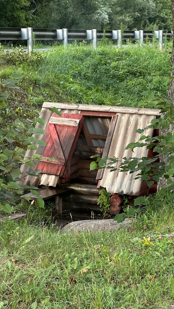 Pınar, çay криница, Mogiliovskaya oblastı, foto