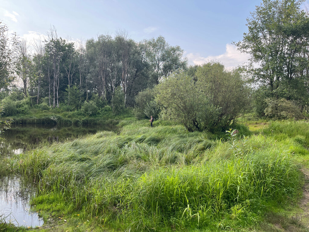 Plaj Beach, Gomelskaya oblastı, foto