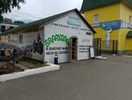 Лавка старины (Kuratova Street No:73/7), antikacı dükkanları  Syktivkar'dan