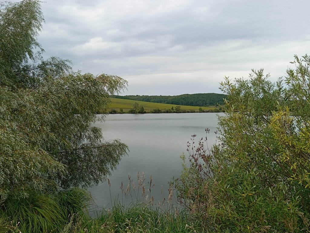 Orman Гулев лес, Mordovya, foto