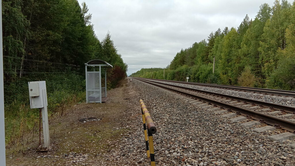 Tren istasyonu остановочный пункт 1165 километр, Arhangelskaya oblastı, foto