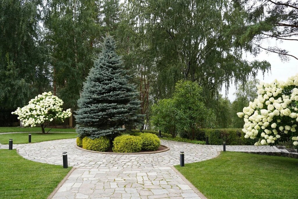 Peyzaj tasarımı Ландыши, Saint‑Petersburg, foto