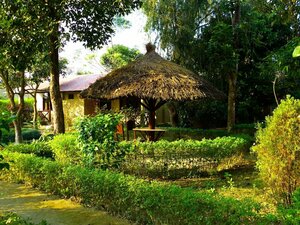 Nature Safari Resort (Lumbini, rayon Bardiya), otel