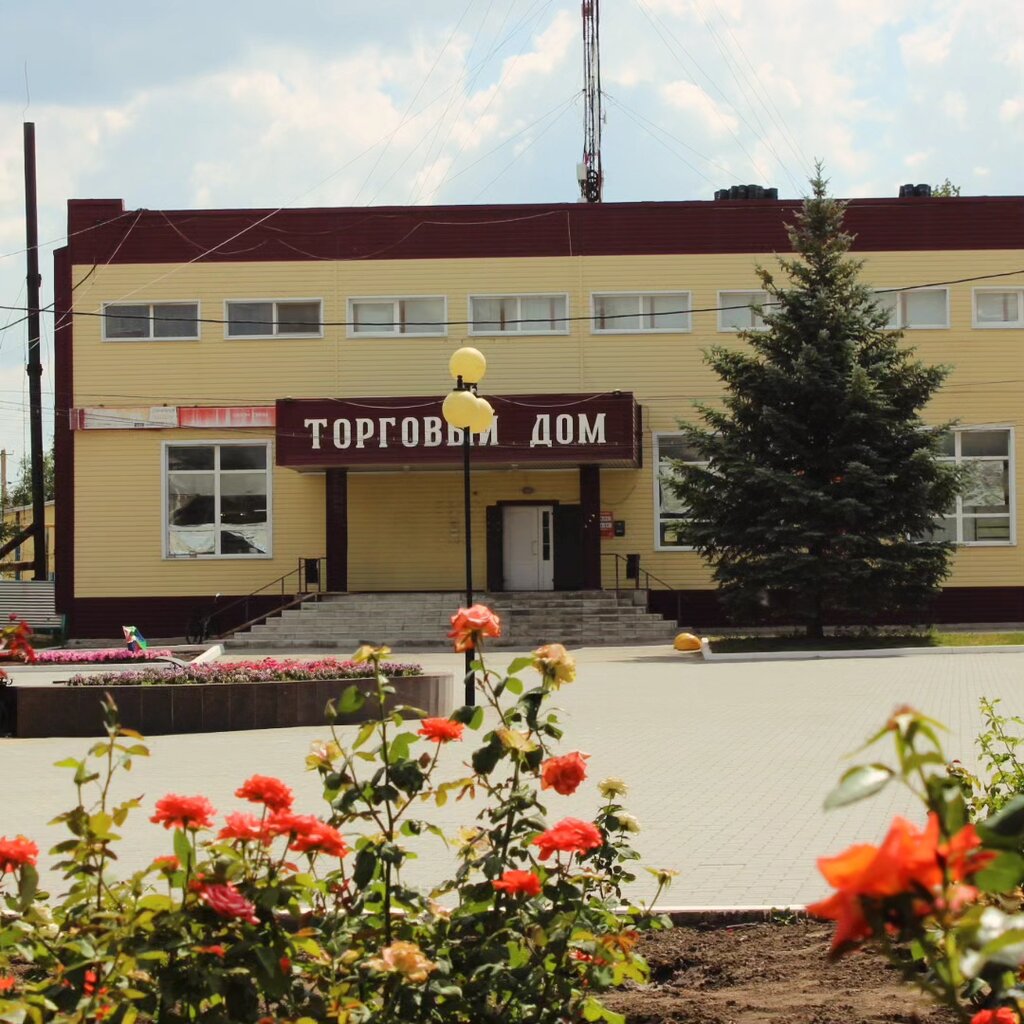 Market Magnit, Saratovskaya oblastı, foto