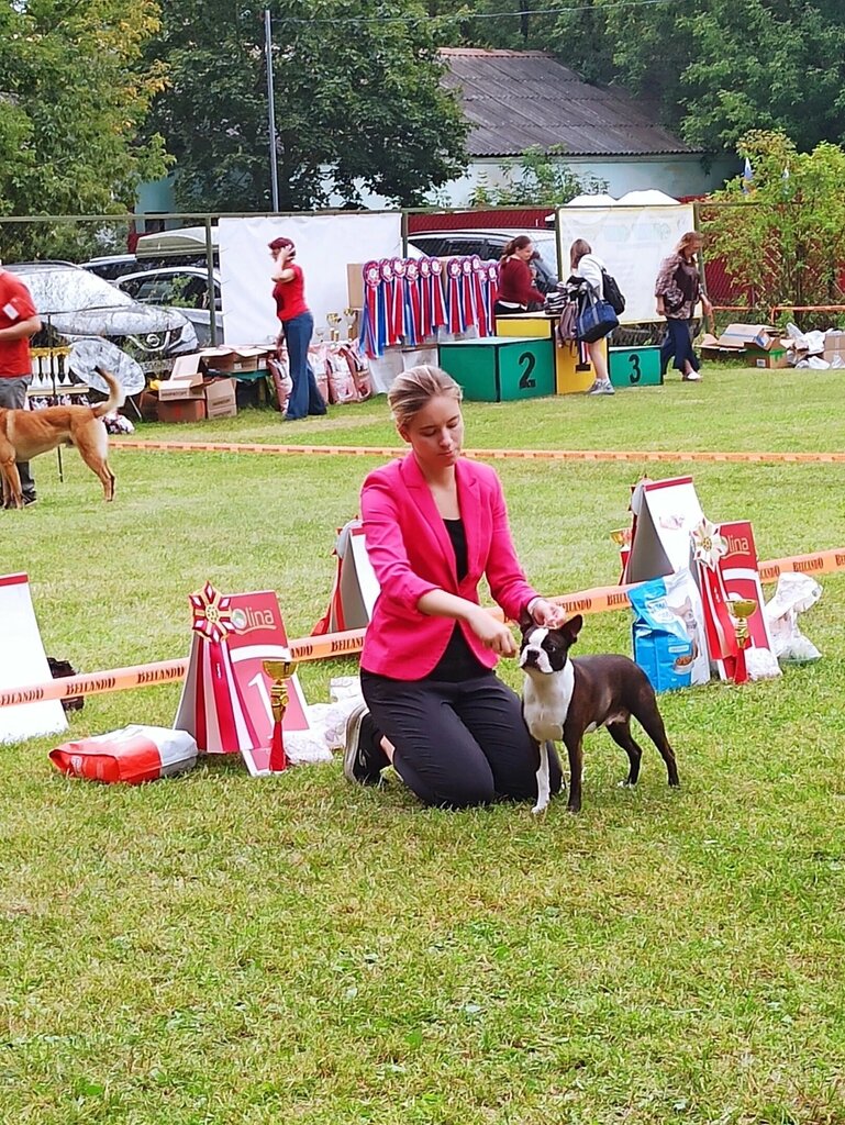 Evcil hayvan yetiştiricileri Moscow Sharm Boston, Moskova, foto