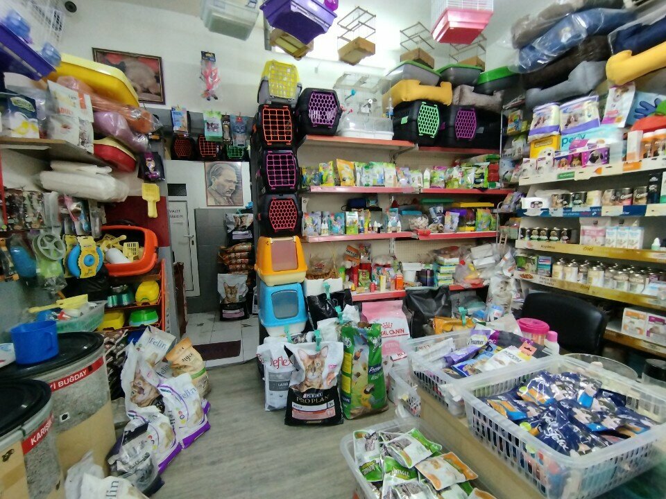 Petshop Aslan Kral, İzmir, foto