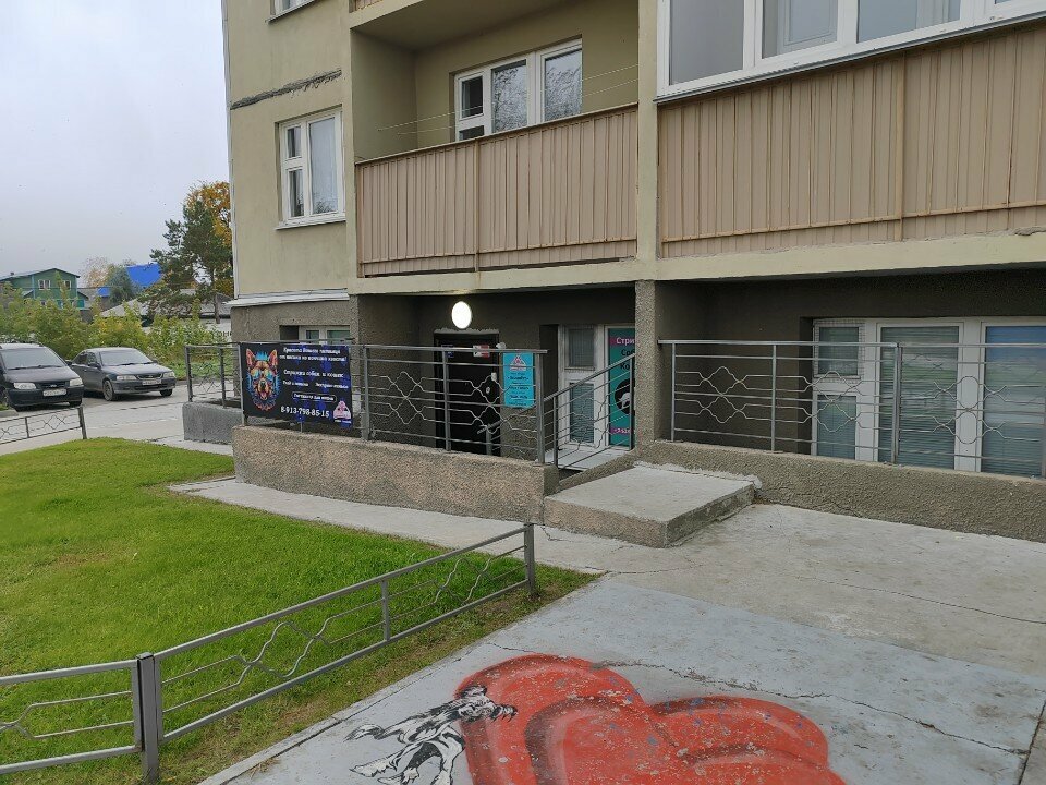 Evcil hayvan kuaförleri GroomPro, Novosibirsk, foto