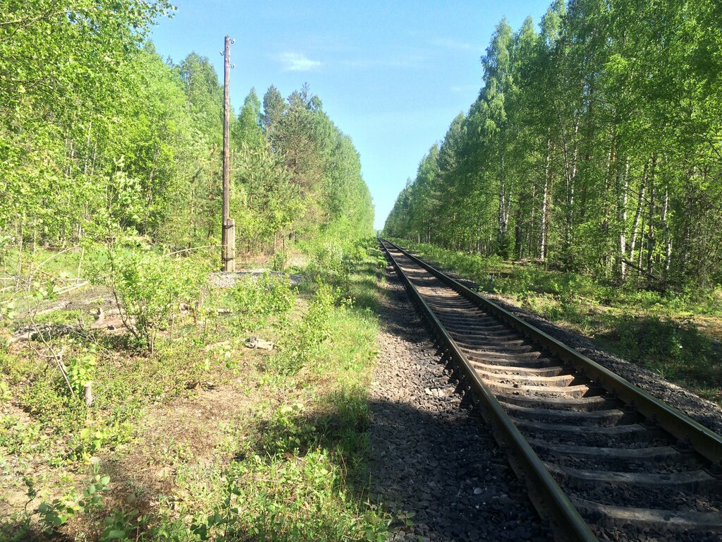 Yük istasyonu остановочный пункт Няятяоя, Karelya, foto