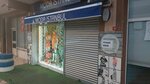 Modaistanbul (İstanbul, Üsküdar, Namazgah Cad., 1/2A), giyim mağazası  İstanbul'dan