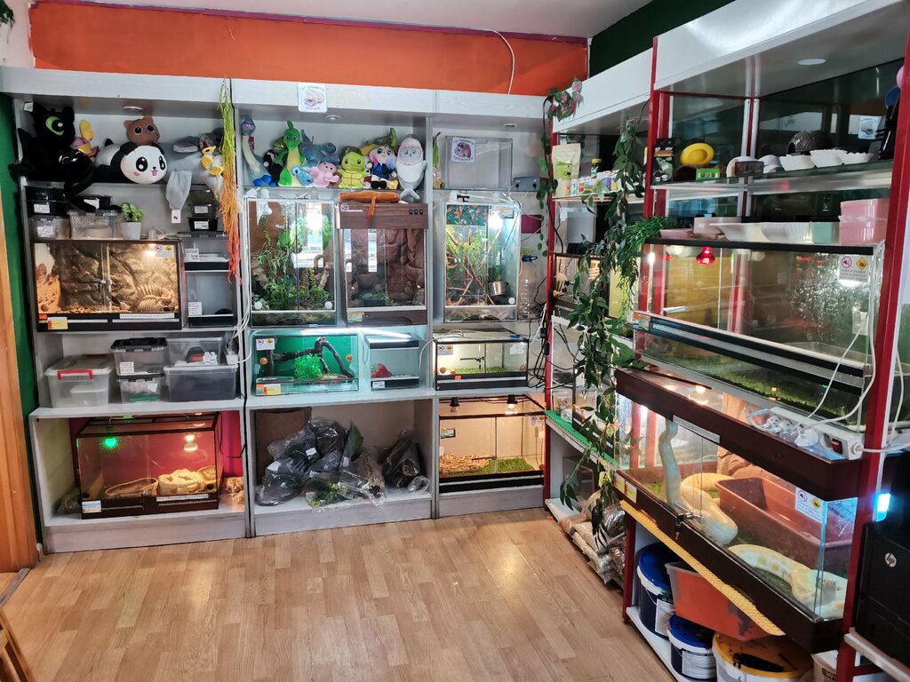 Petshop ЭkzoUral, Çeliabinsk, foto