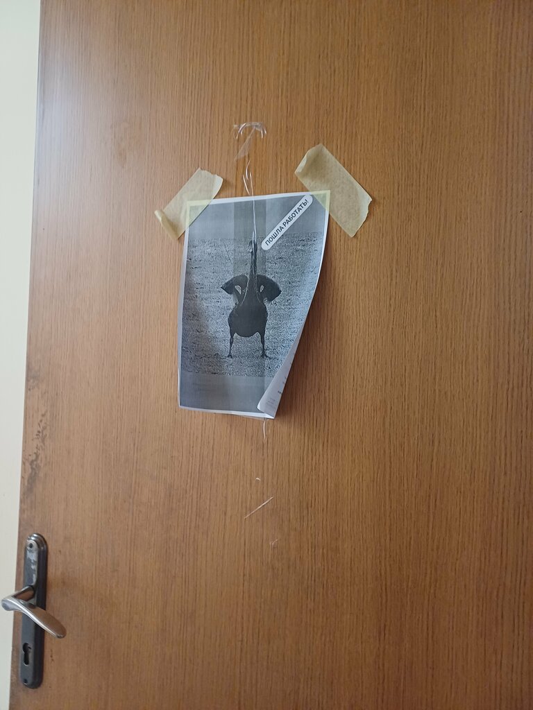 Hediyelik eşya mağazaları My HobbyHorses Finland, Pirkanmaa, foto