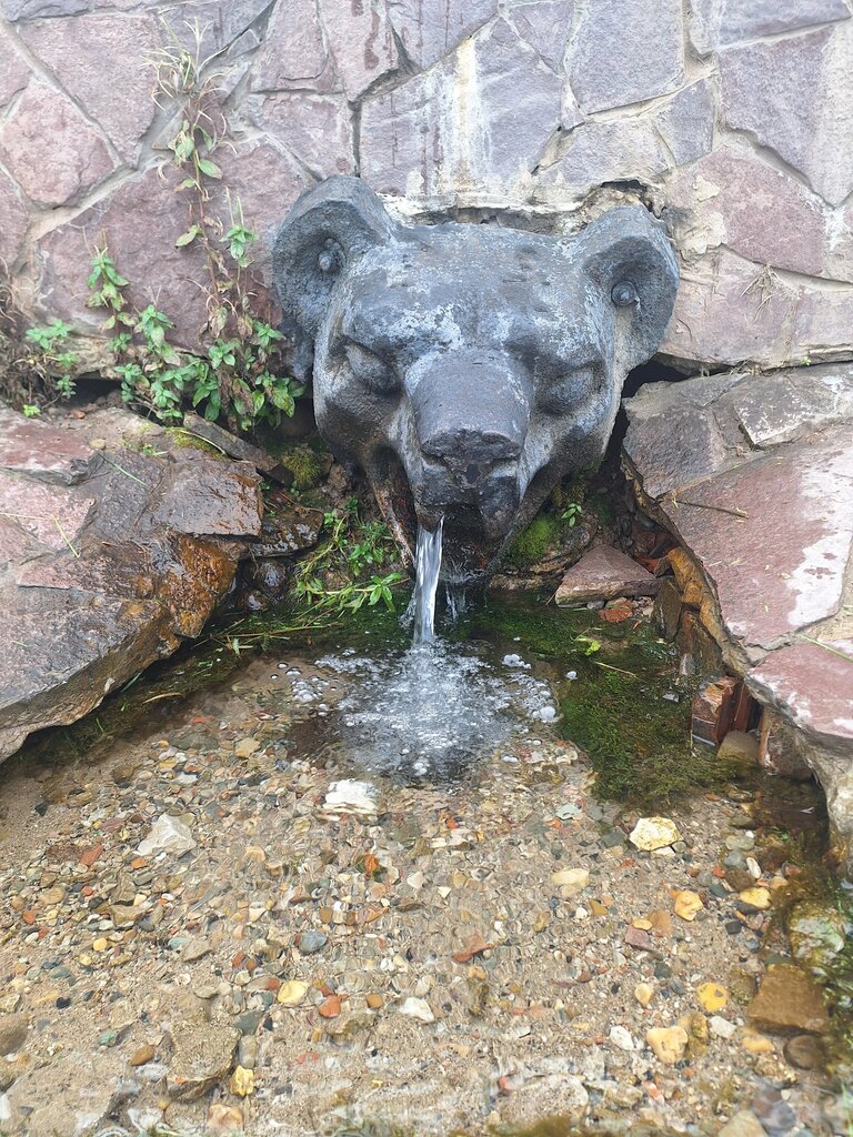 Pınar, çay Spring, stream, Permski krayı, foto