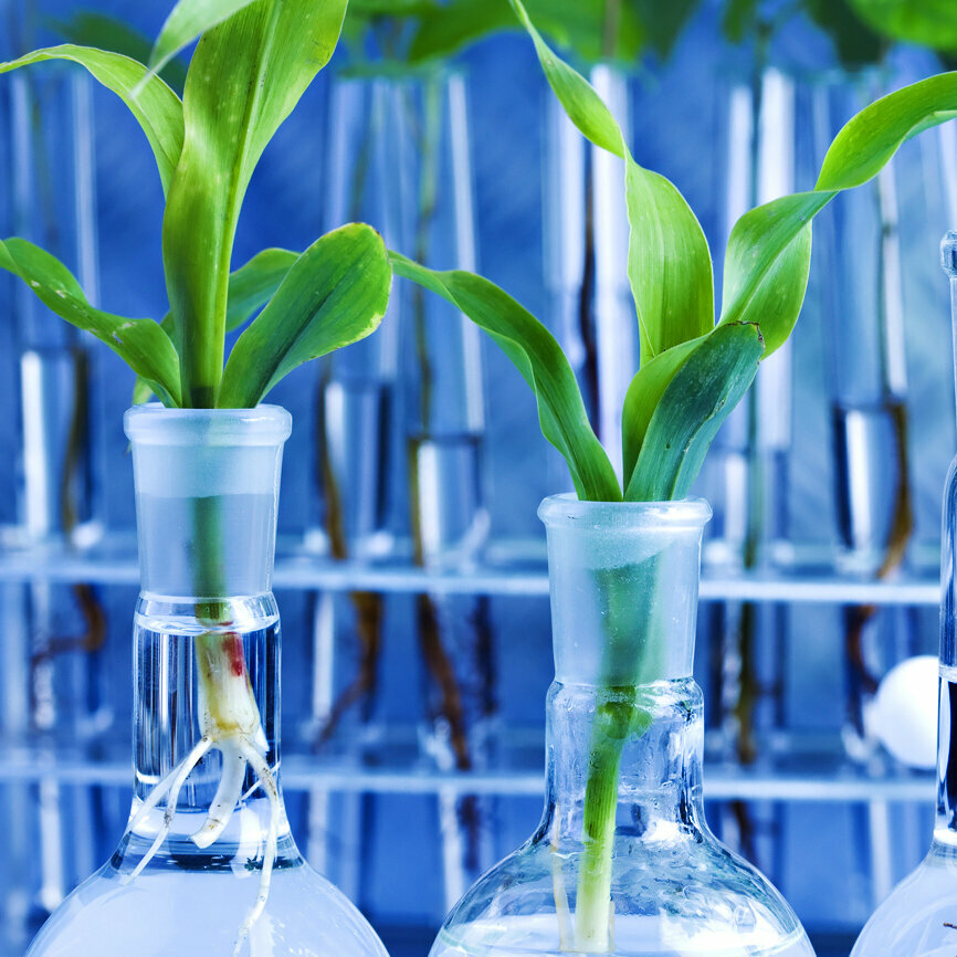 Laboratuvar ekipmanları MAA Scientific International, Dubai, foto