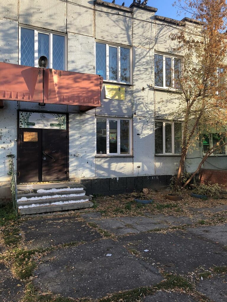 Geziler Zhivoe Derevo, Novosibirsk, foto