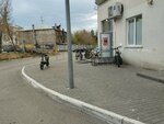 Самокат (Artzibushevskaya Street No:162), dark store  Samara'dan