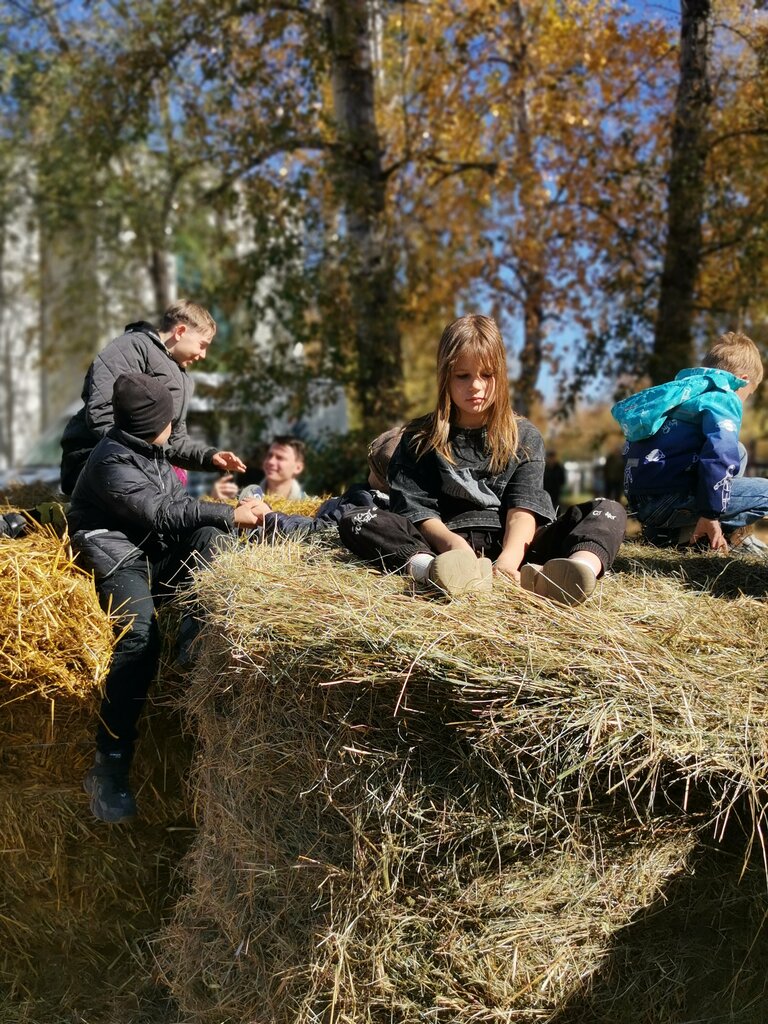 Kültür ve eğlence parkları Сергеевский парк, Amursk Bölgesi, foto