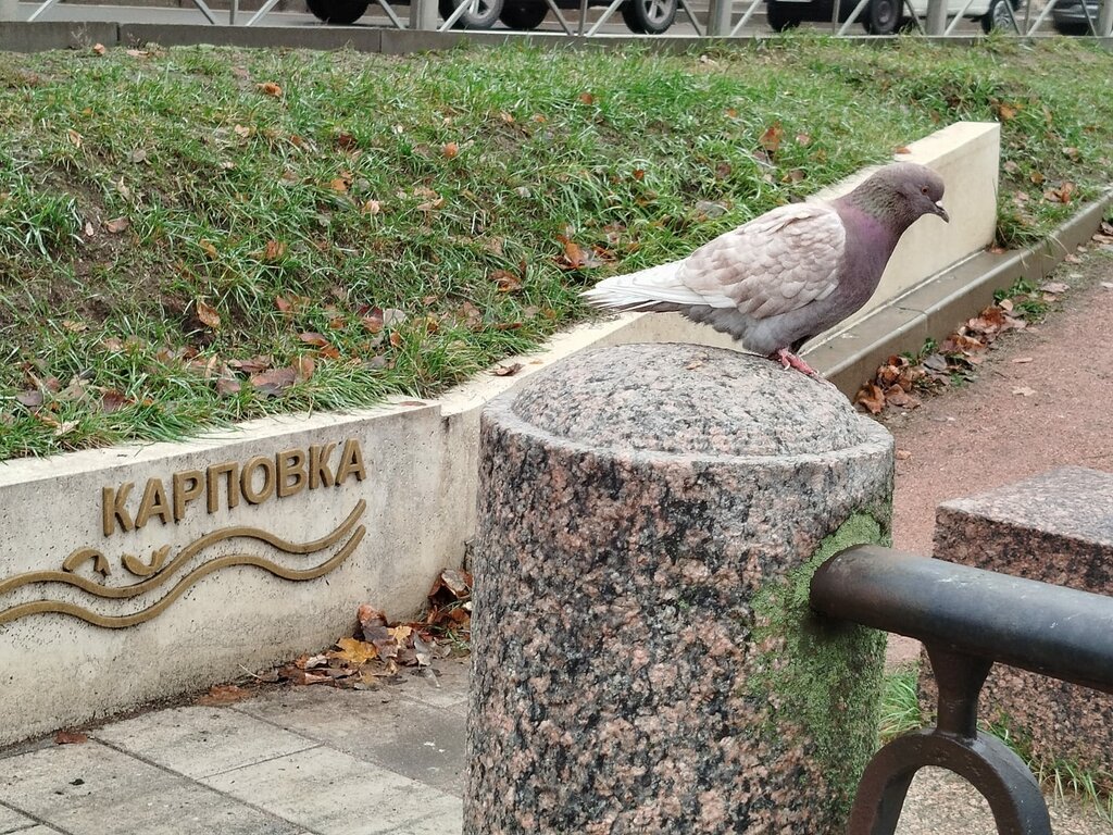 i̇skele Jetty , Saint‑Petersburg, foto