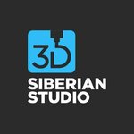 Siberian 3D (ulitsa Zholtovskogo No:5), 3d hizmetler  Prokopyevsk'ten