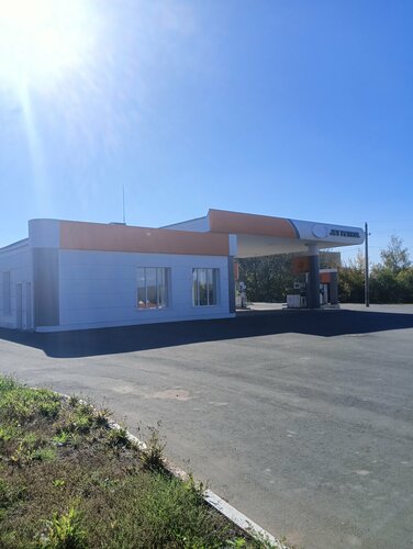 Benzin istasyonu Gas station, Orenburgskaya oblastı, foto