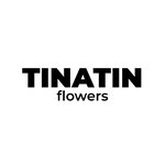 Tinatin (Rogozhnikova Street No:21/1к2), çiçekçiler  Stavropol'dan