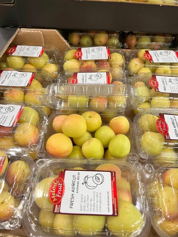 Toptan sebze ve meyve satışı MelodiFruit Fresh Fruits & Vegetables Exporting Company, Antalya, foto